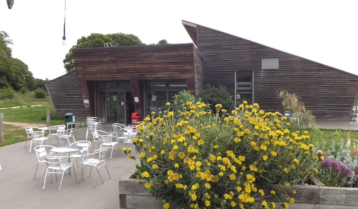 Belfairs Nature Discovery Centre - Visit Southend