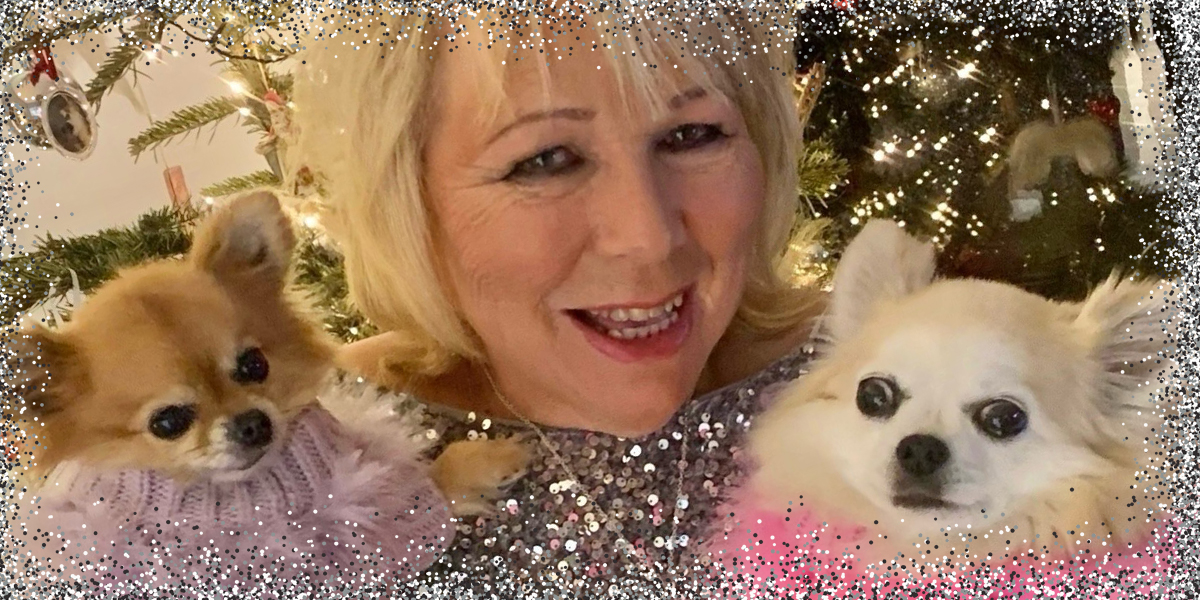 Sadie's Nine Lives At Christmas - Visit Southend