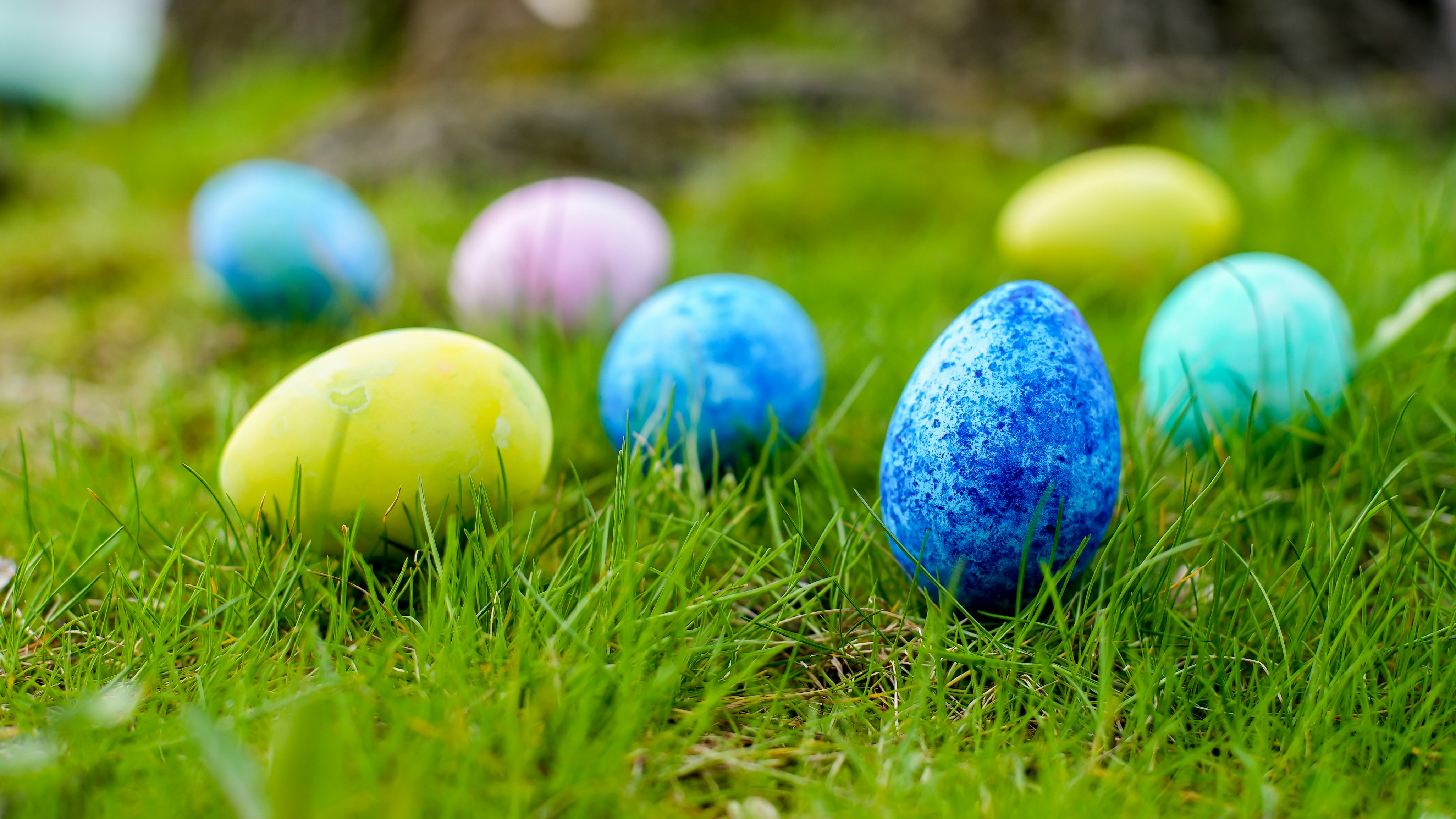 Self-Led Easter Trail - Visit Southend