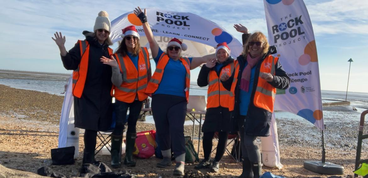 The Big Rock Pool Challenge BioBlitz Battle - Visit Southend
